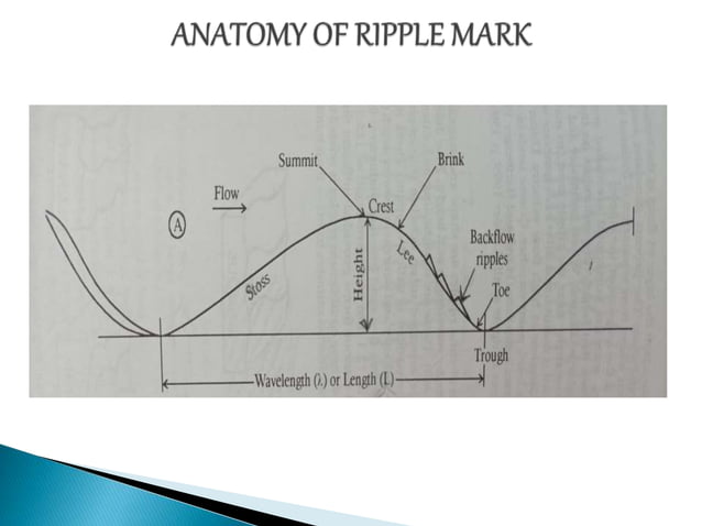 RIPPLE MARK.pptx