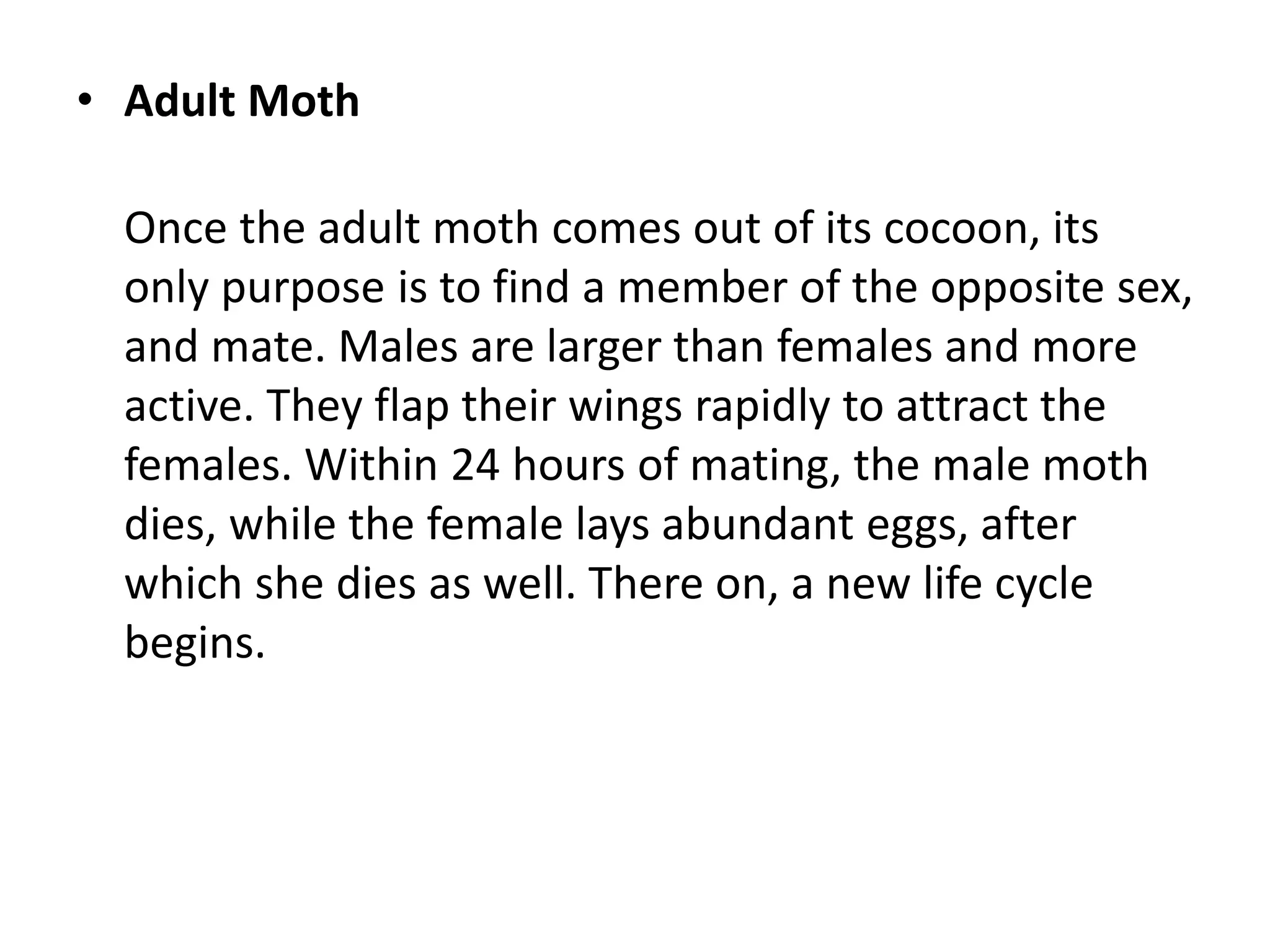 Rural immersion program | PPTX