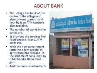 Rural immersion program | PPTX