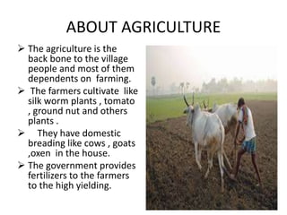 Rural immersion program | PPTX