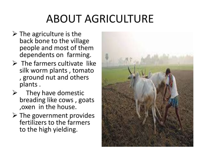 Rural immersion program | PPTX | Hinduism | Religion & Spirituality