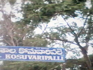 Rural immersion program | PPTX