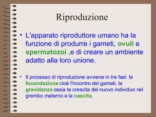 Riproduzione | PPT