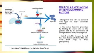 RF-ipscs | PPT