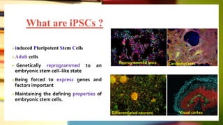 RF-ipscs | PPT