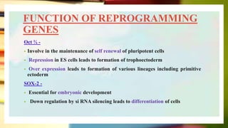 RF-ipscs | PPT
