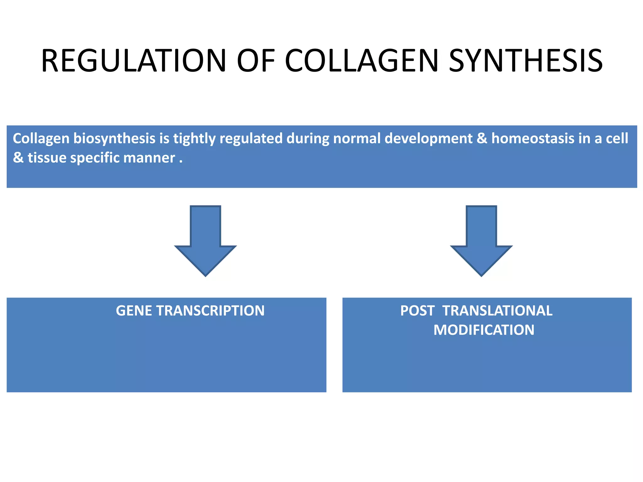 Collagen Structure , ans synthesis | PPTX