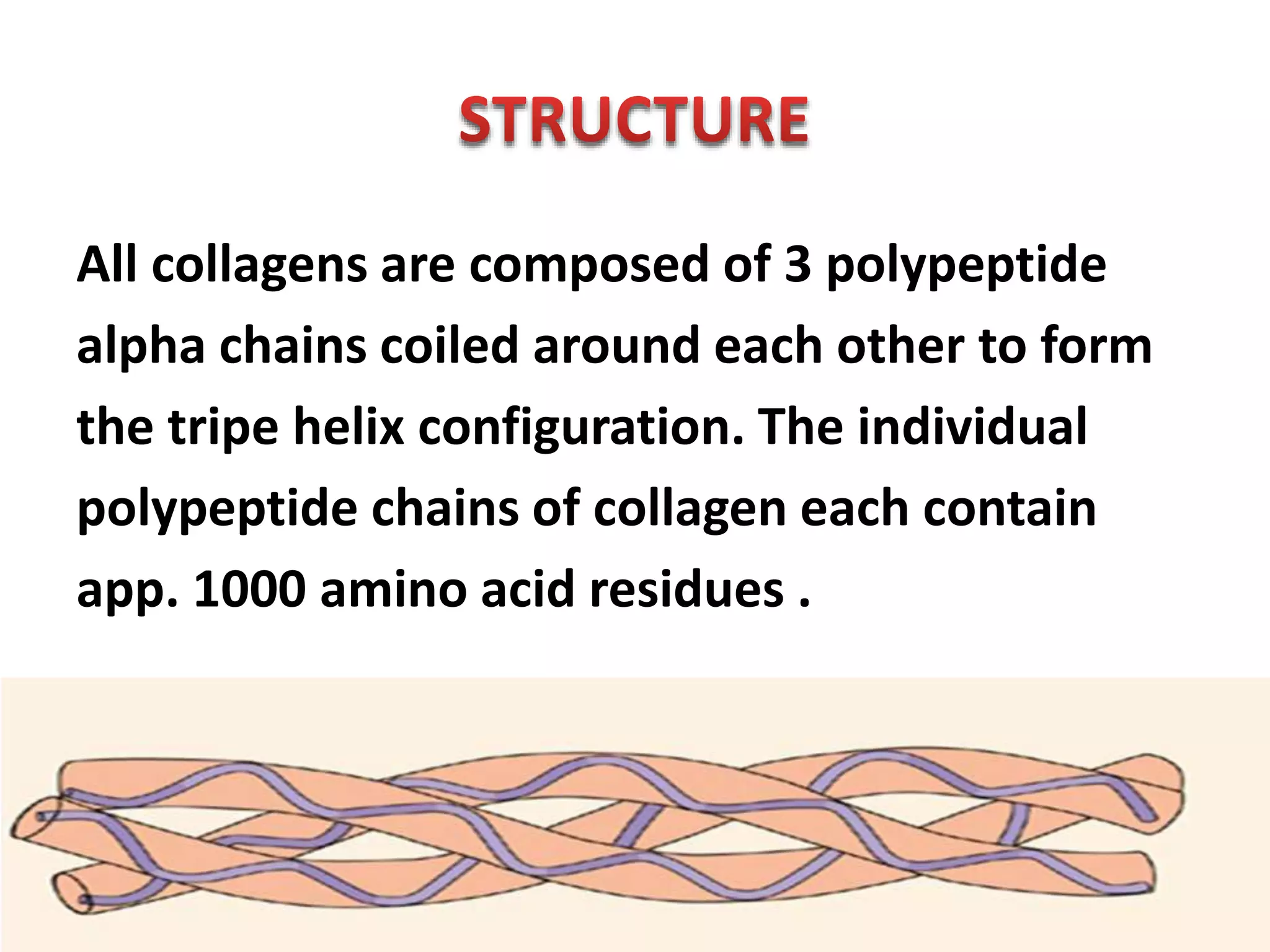 Collagen Structure , ans synthesis | PPTX