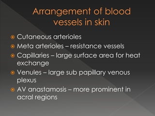 Cutaneous circulation & splanchnic circulation | PPTX
