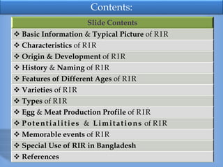 Rhode island red-ppt-main | PPTX