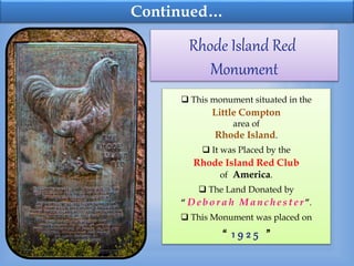 Rhode island red-ppt-main | PPTX