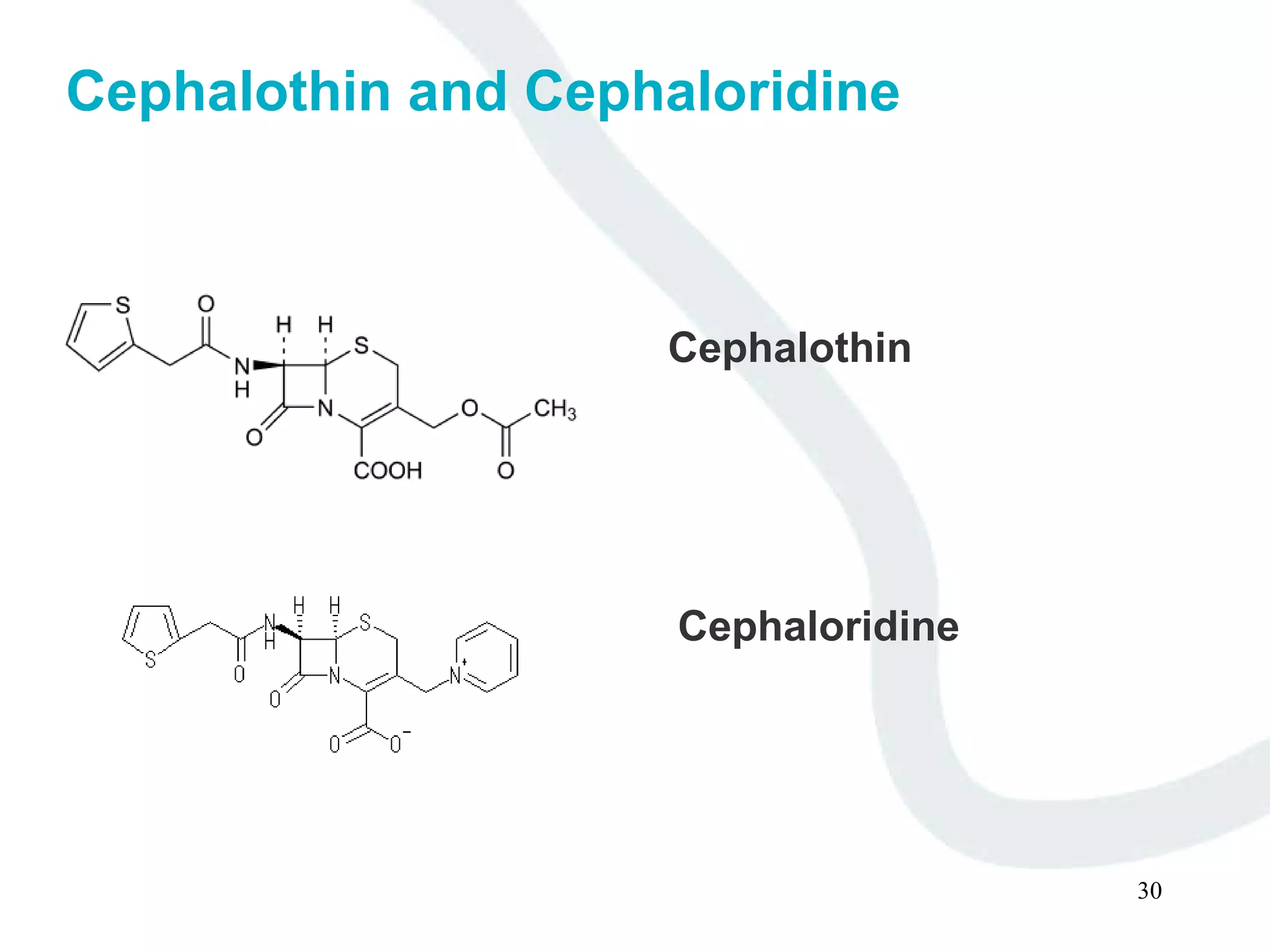 The evolution of antimicrobial resistance: a Darwinian perspective | PPT