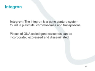 The evolution of antimicrobial resistance: a Darwinian perspective | PPT