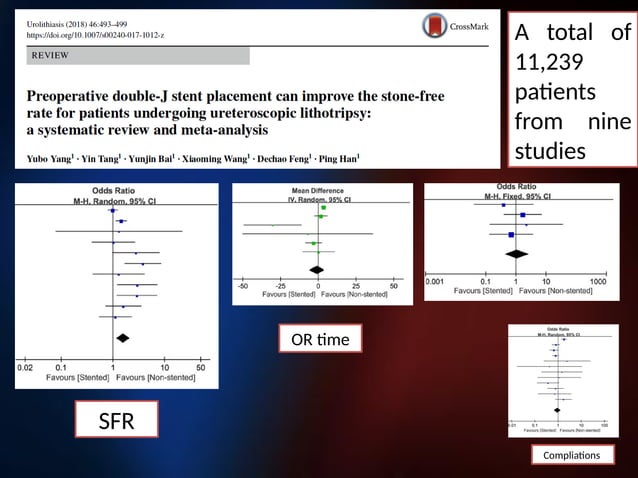 RIRS VS PNL (2) point counter point ppt | PPT