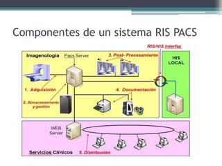 RIS-PACS y su importancia en la informatica medica | PPTX
