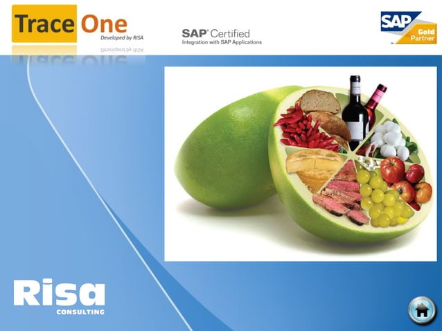 SAP Business One Addon - Trace One for Food Industry: Risa Consulting | PPT