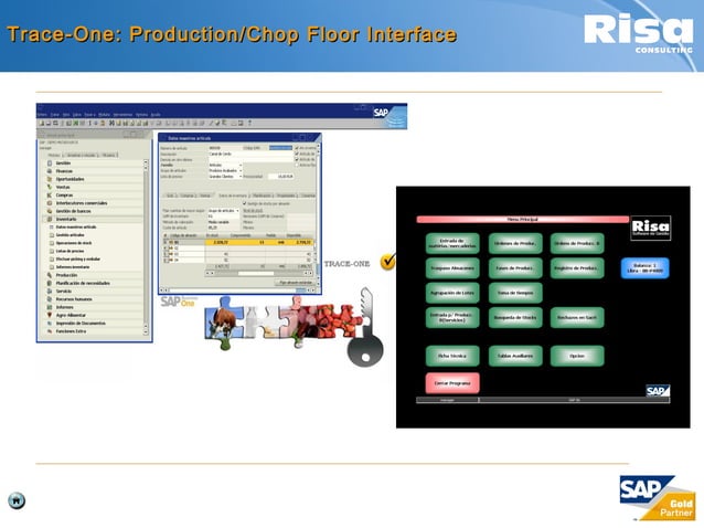 SAP Business One Addon - Trace One for Food Industry: Risa Consulting | PPT