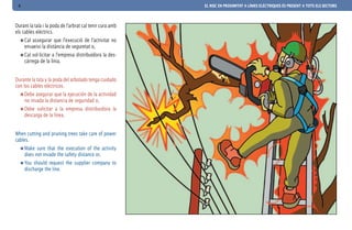 Risc electric cca | PDF