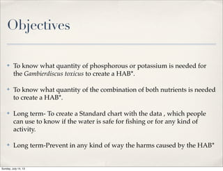 Rise summer bridge proposal -hab | PPT