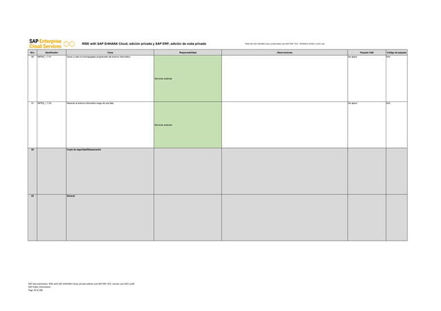 rise-with-sap-s4hana-cloud-private-edition-and-sap-erp-pce-roles ...