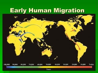 Migration Of Early People
