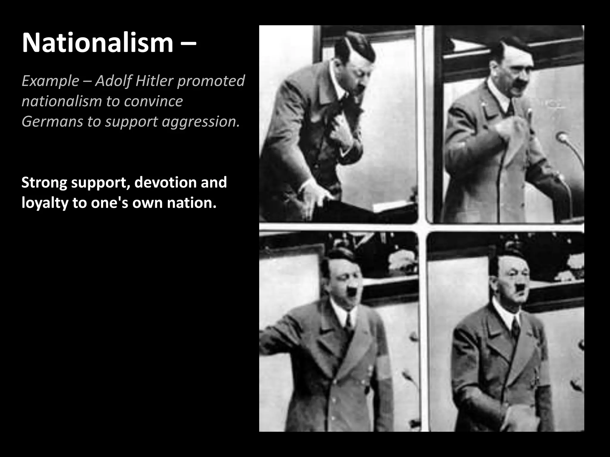 Rise of hitler vocabulary | PPT