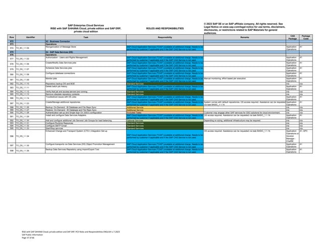 RISE with SAP S_4HANA Cloud, private edition and SAP ERP, PCE Roles and ...