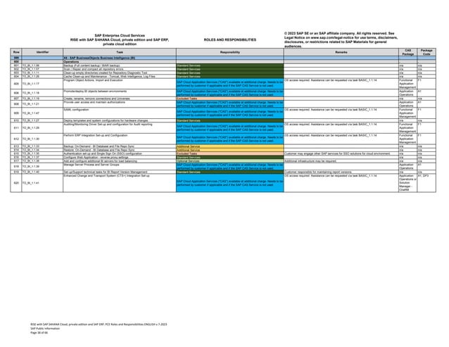 RISE with SAP S_4HANA Cloud, private edition and SAP ERP, PCE Roles and ...