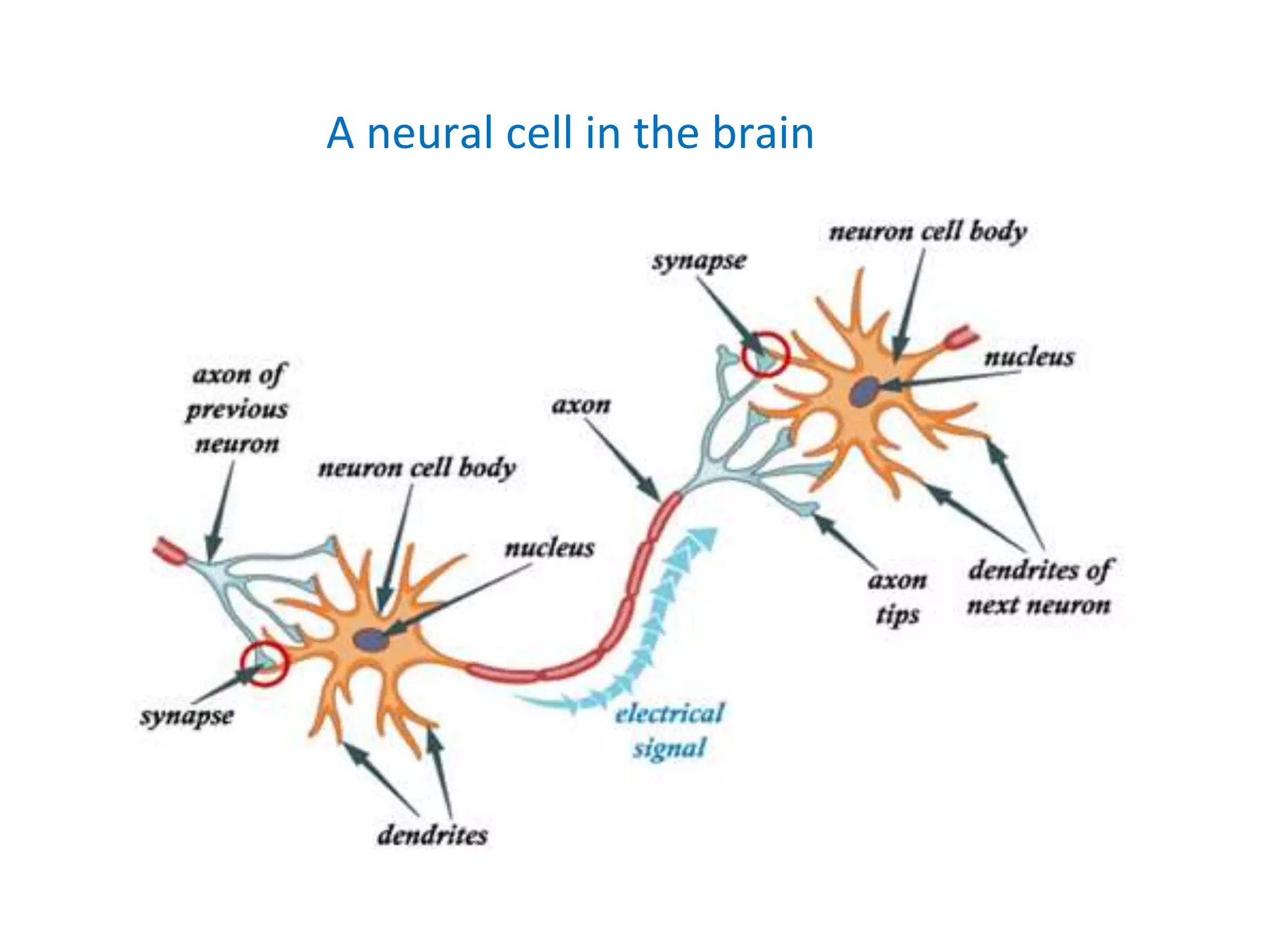 Handwritten Digit Recognition(Convolutional Neural Network) PPT | PPTX