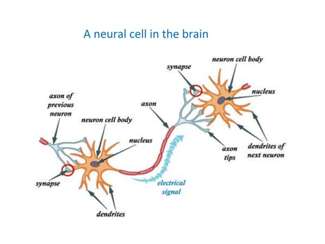 Handwritten Digit Recognition(Convolutional Neural Network) PPT | PPTX