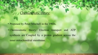 Overview of anaerobic respiration and factors affecting respiration ...