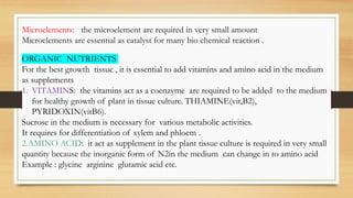 Plant Tissue Culture By Vikram Seervi Msc | PPT
