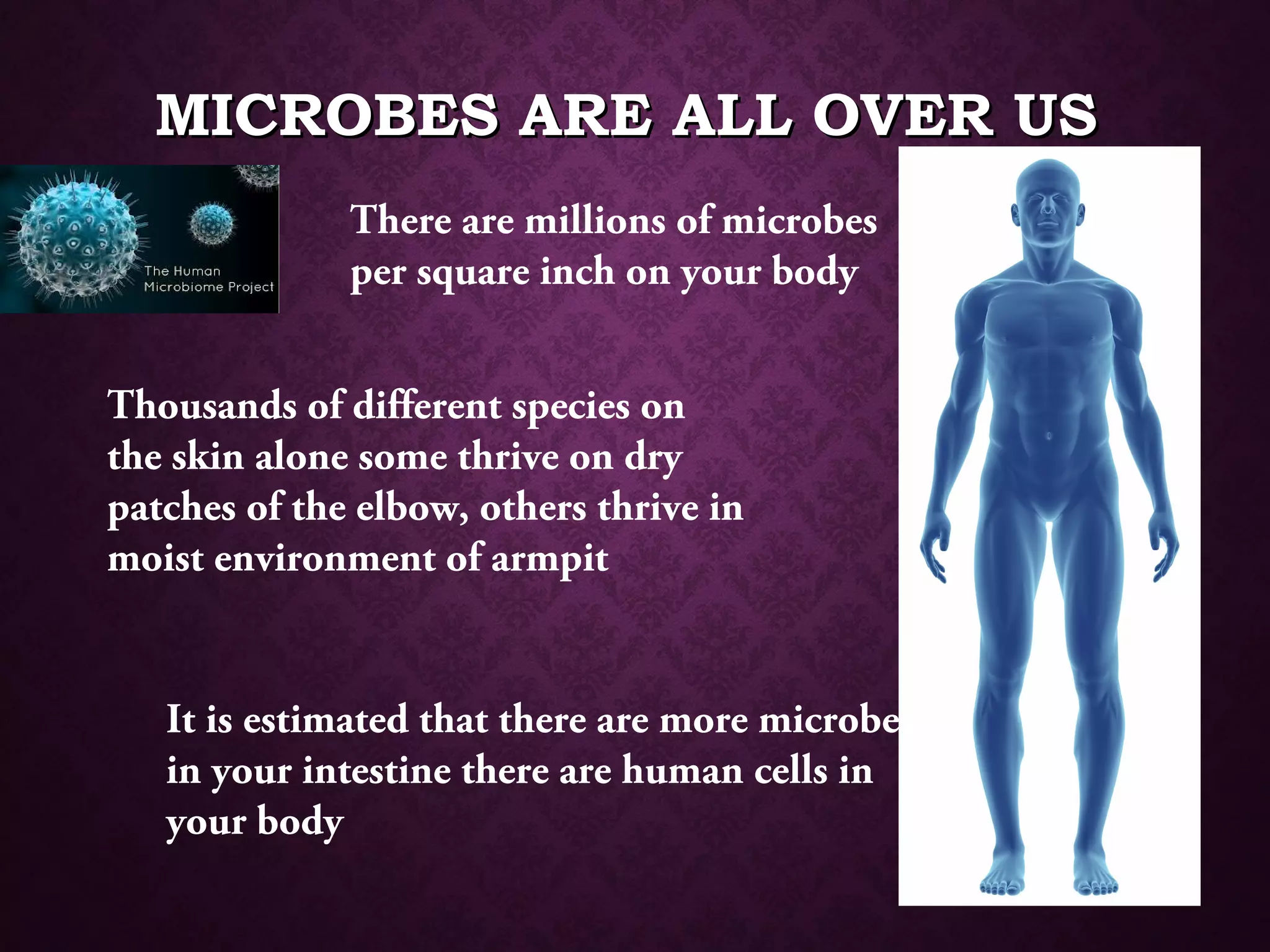 Human Microbiome | PPT