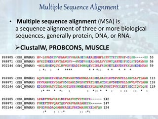 SEQUENCE ANALYSIS | PPTX