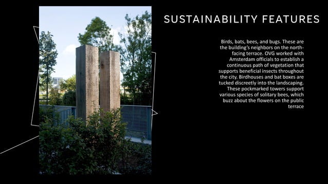 The Edge Building | PDF