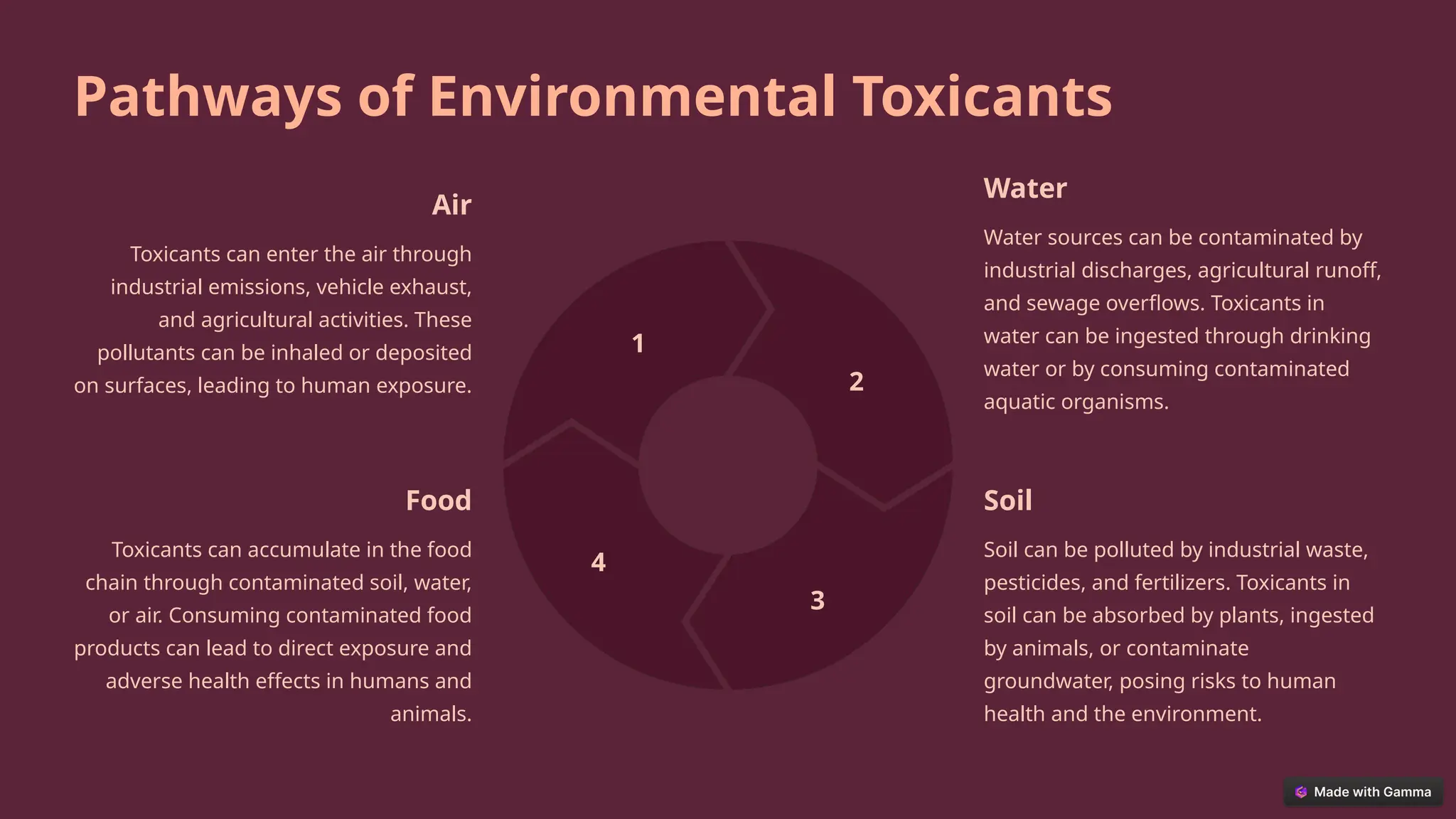 Risk-Analysis-and-Environmental-Hazards.pptx
