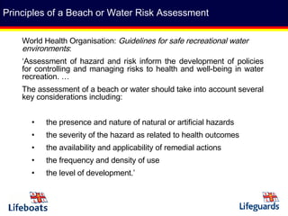 Risk Assessment Model | PPS | Business | Business and Finance