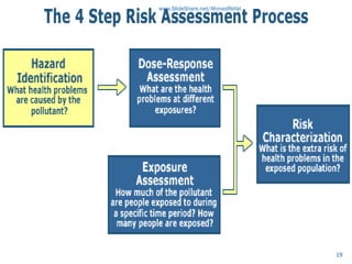 Risk assessment process | PDF