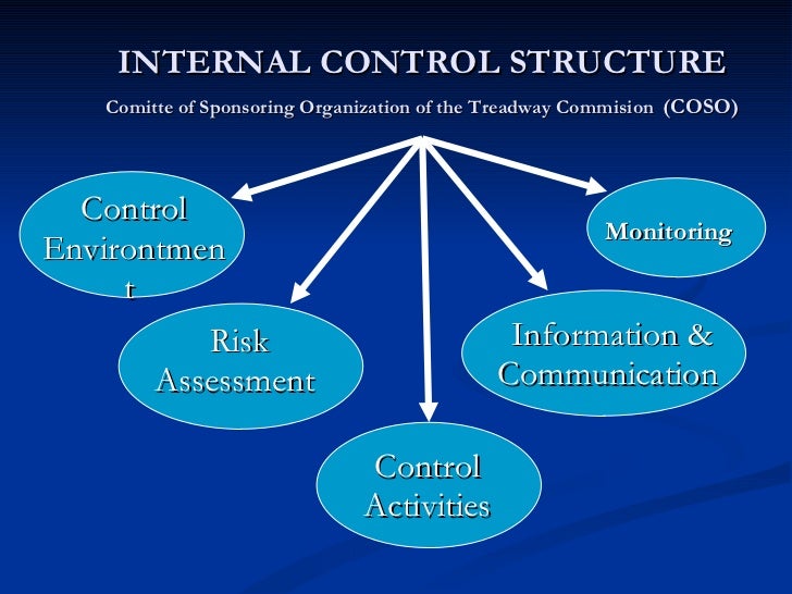 Risk Exposure & Internal Control Structure