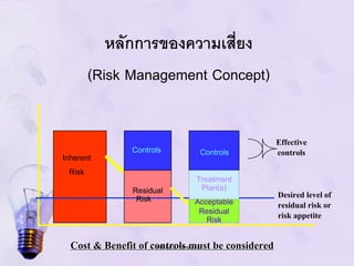 Risk management-manual | PDF