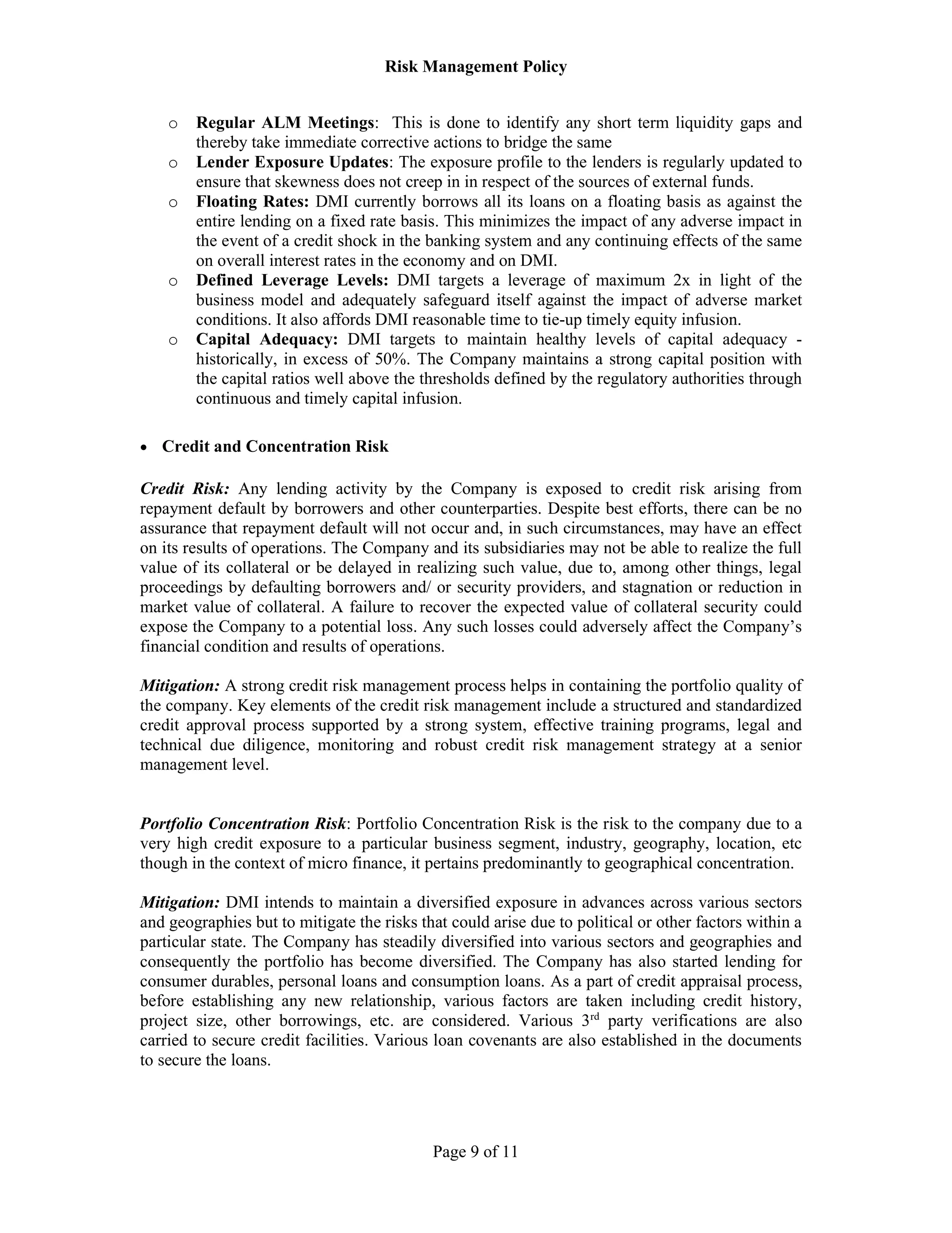 DMI Finance - Risk management policy | PDF