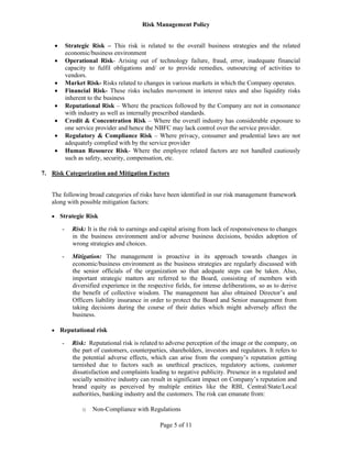 DMI Finance - Risk management policy | PDF