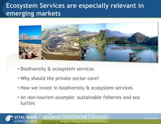 Biodiversity and Ecosystem Services in the Tourism Sector | PDF