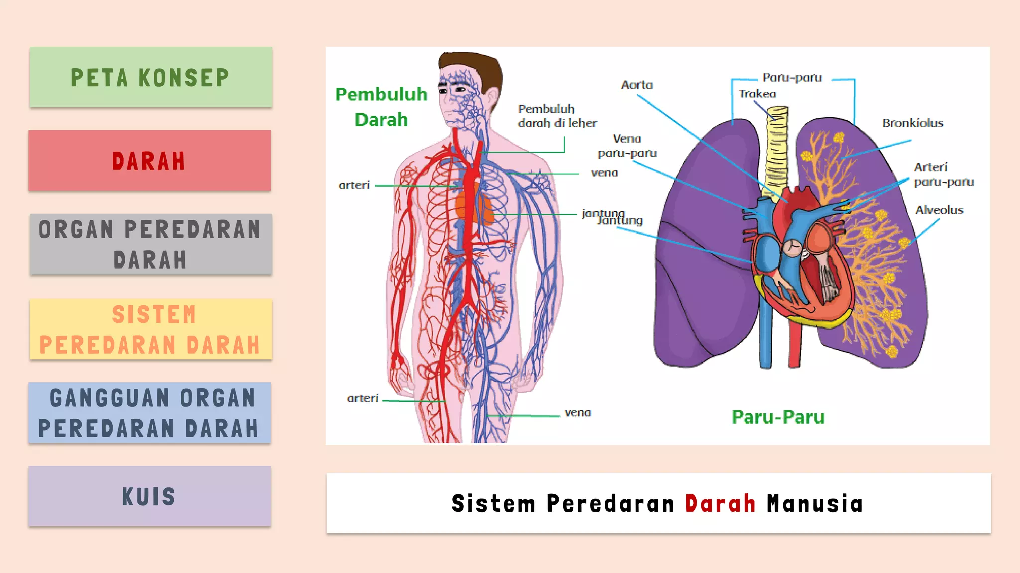 Media Pembelajaran Materi Sistem Peredaran Darah Kelas 5 SD | PDF