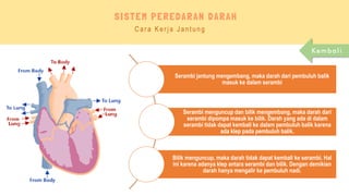 Media Pembelajaran Materi Sistem Peredaran Darah Kelas 5 SD | PDF