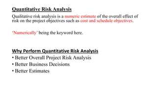 Risk analysis | PPT