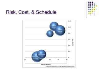 Risk Analysis In IT Projects - TNS09 | PPT