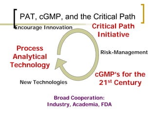 Risk Analysis Pat New | PPT