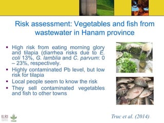 Risk analysis in Vietnam: Current status and ways forward | PPTX