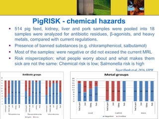 Risk analysis in Vietnam: Current status and ways forward | PPTX